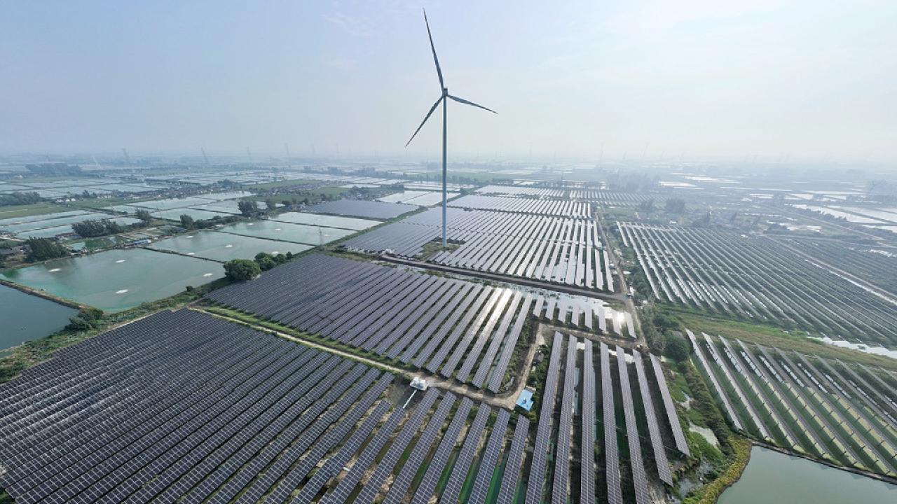 China pursues green growth with Belt and Road partner countries - CGTN