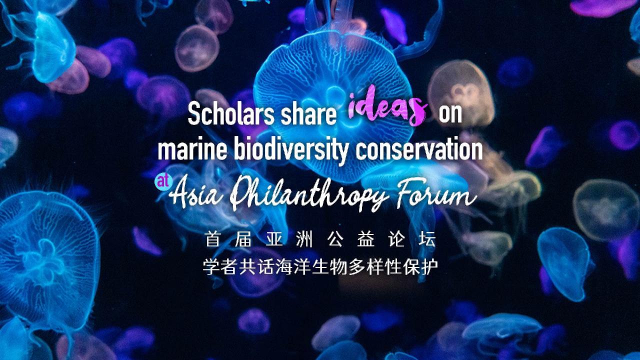 Wildlife belongs to the wild: Scholars share marine biodiversity ideas ...
