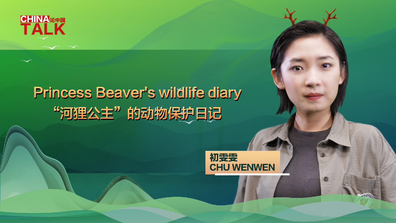 Princess Beaver's wildlife diary - CGTN