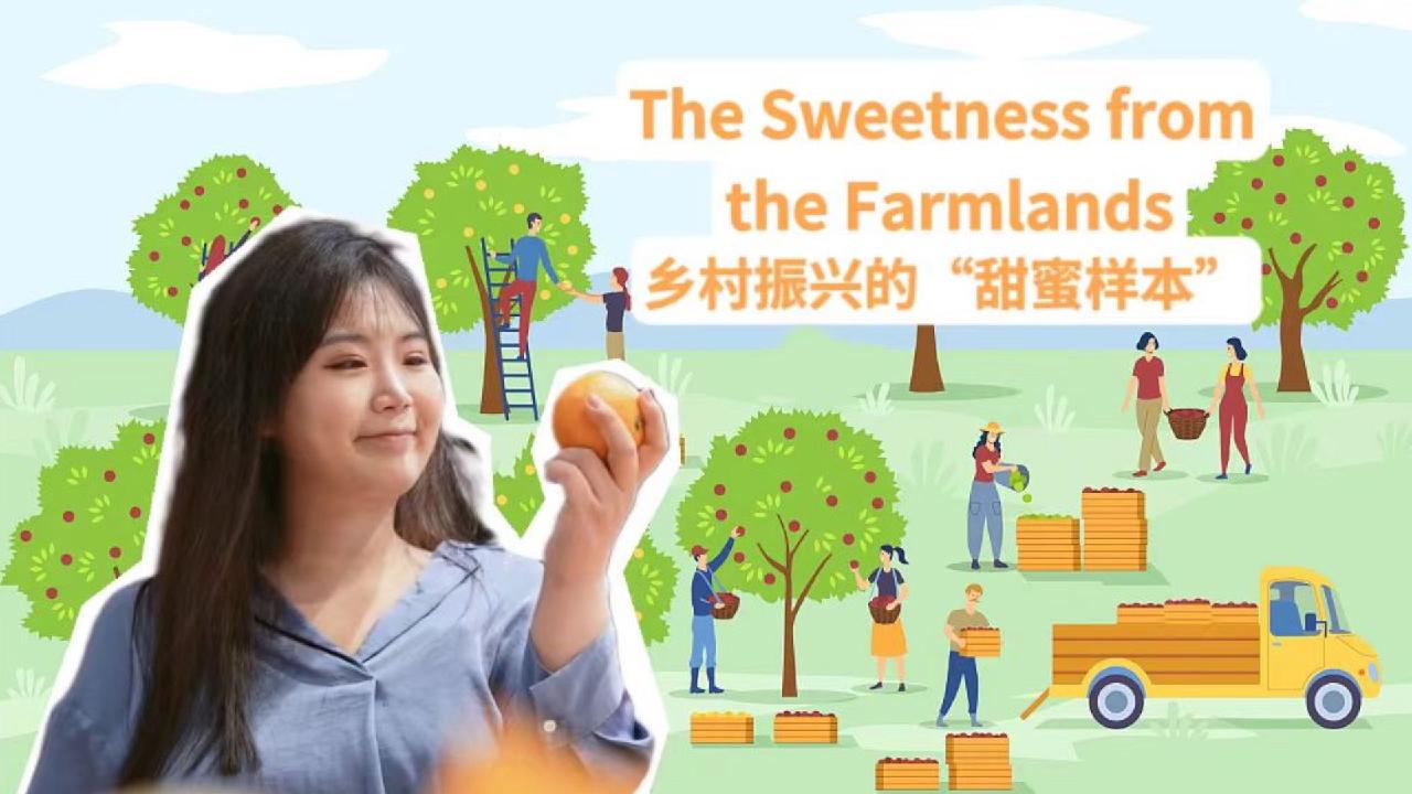 BizFocus EP. 67: The sweetness from the farmlands - CGTN