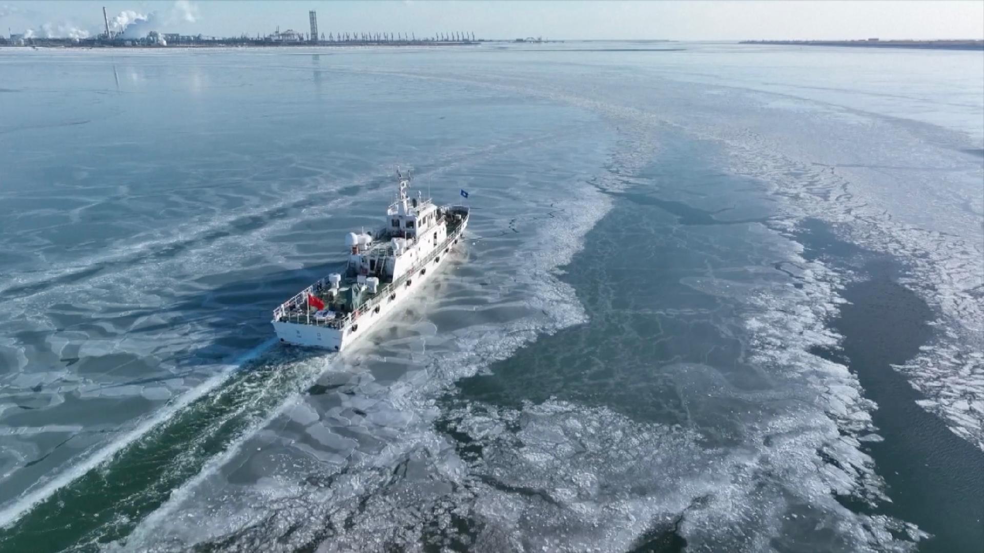 Sea ice hits record high level in China's Liaodong Bay amid cold snap ...