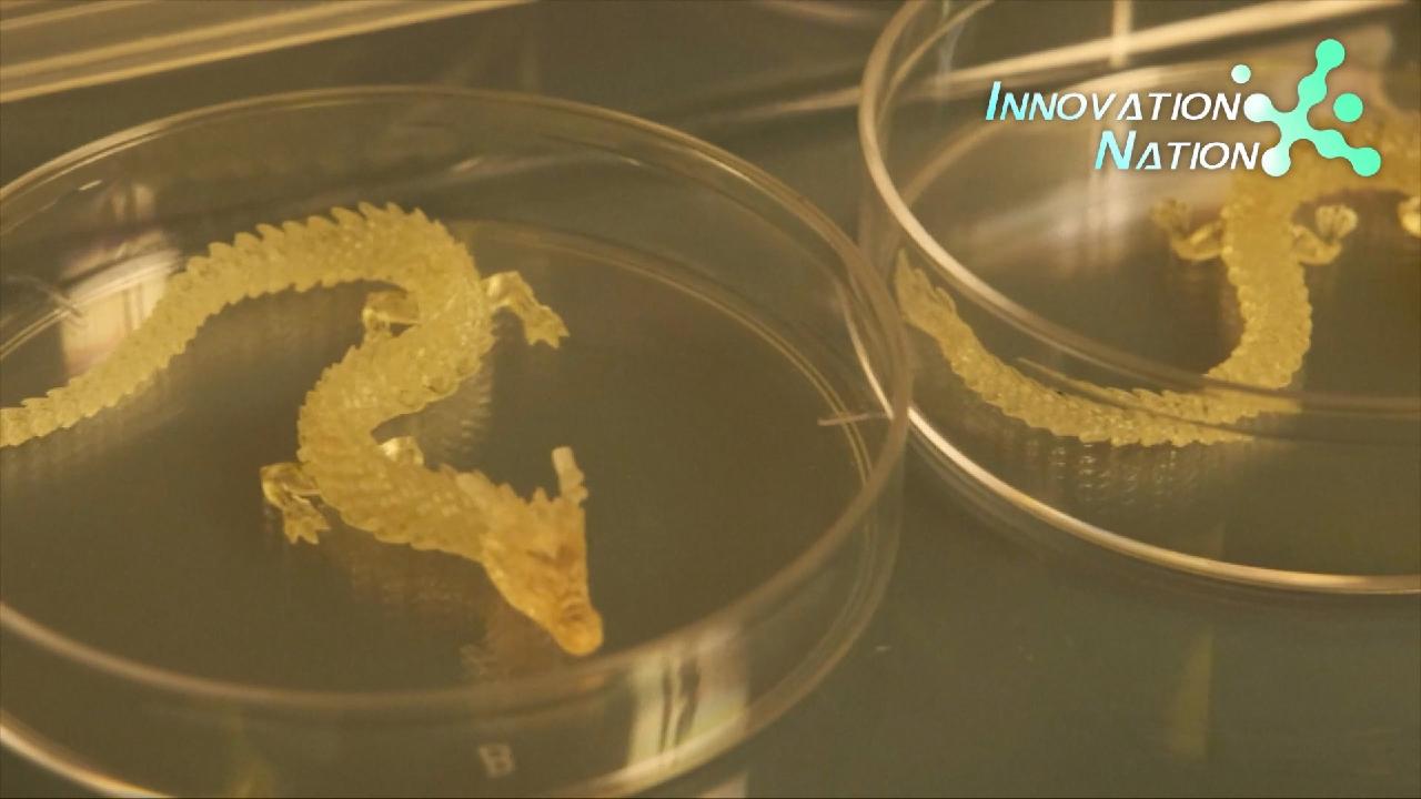 Chinese scientists create intricate items using micro-nano 3D printing ...