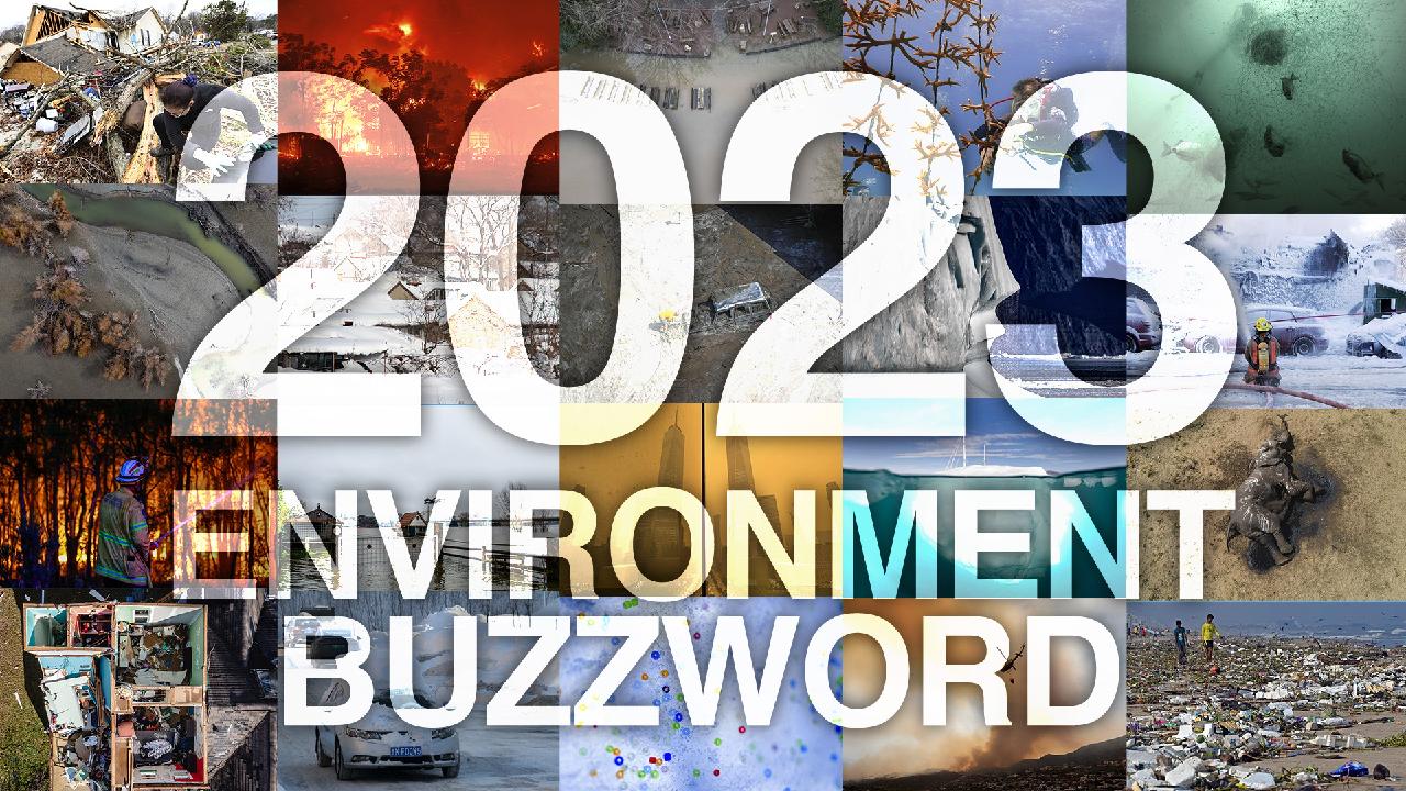 2023 in review: Top environmental issues - CGTN