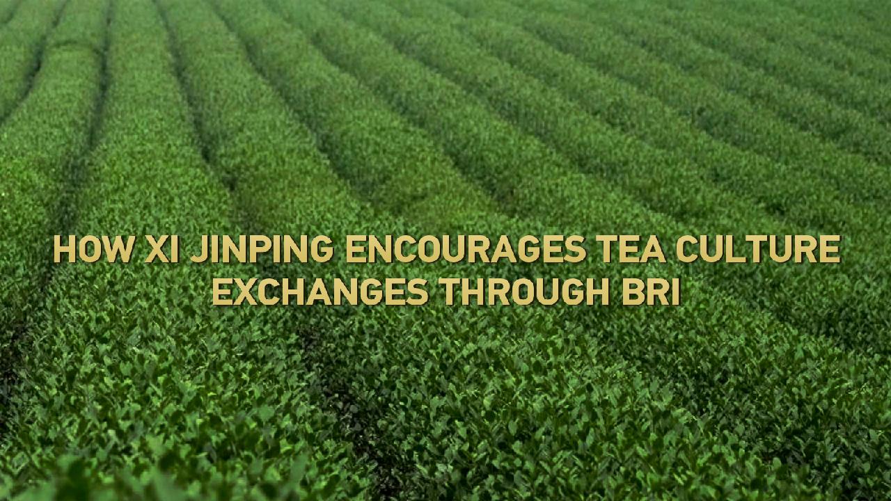 How Xi Jinping encourages tea culture exchanges through BRI - CGTN