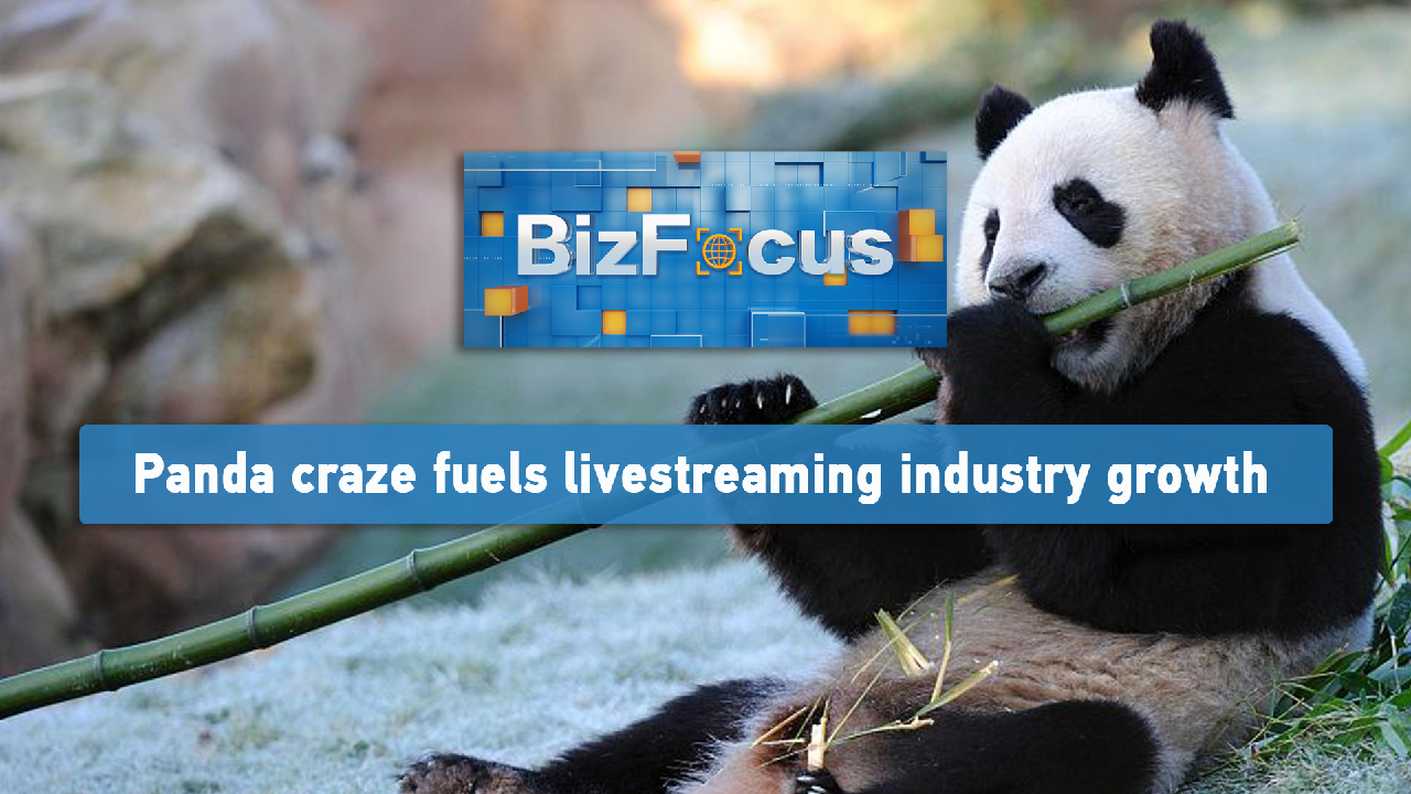 BizFocus Ep. 77: Panda craze fuels livestreaming industry growth - CGTN