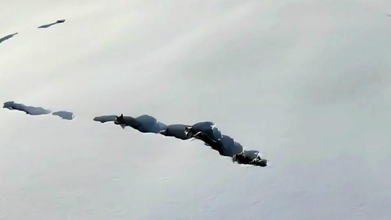 Drone films wolves burrowing through deep snow in Xinjiang - CGTN