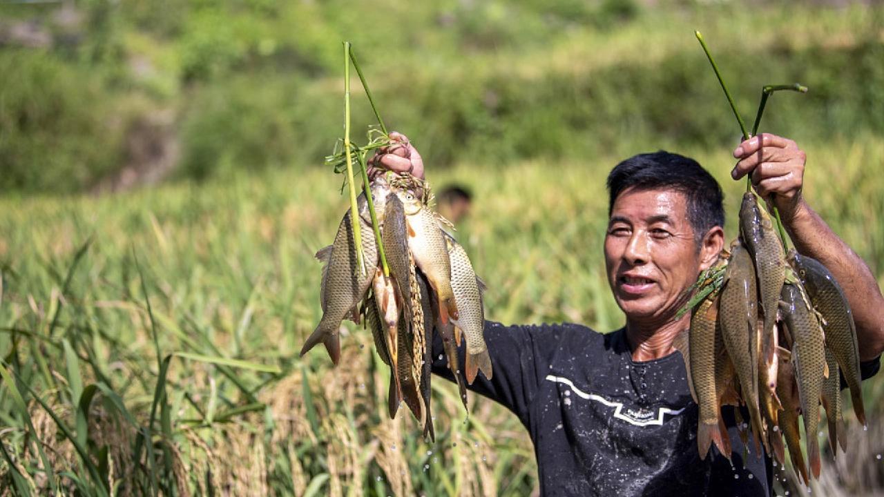 China marks third year since eradication of absolute poverty - CGTN