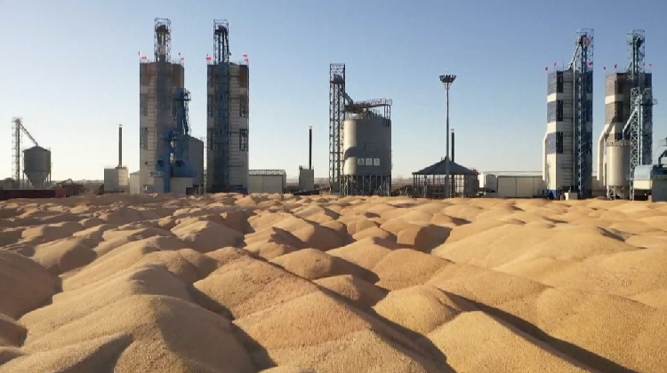 Nearly 150 million tonnes of autumn grains purchased in China - CGTN