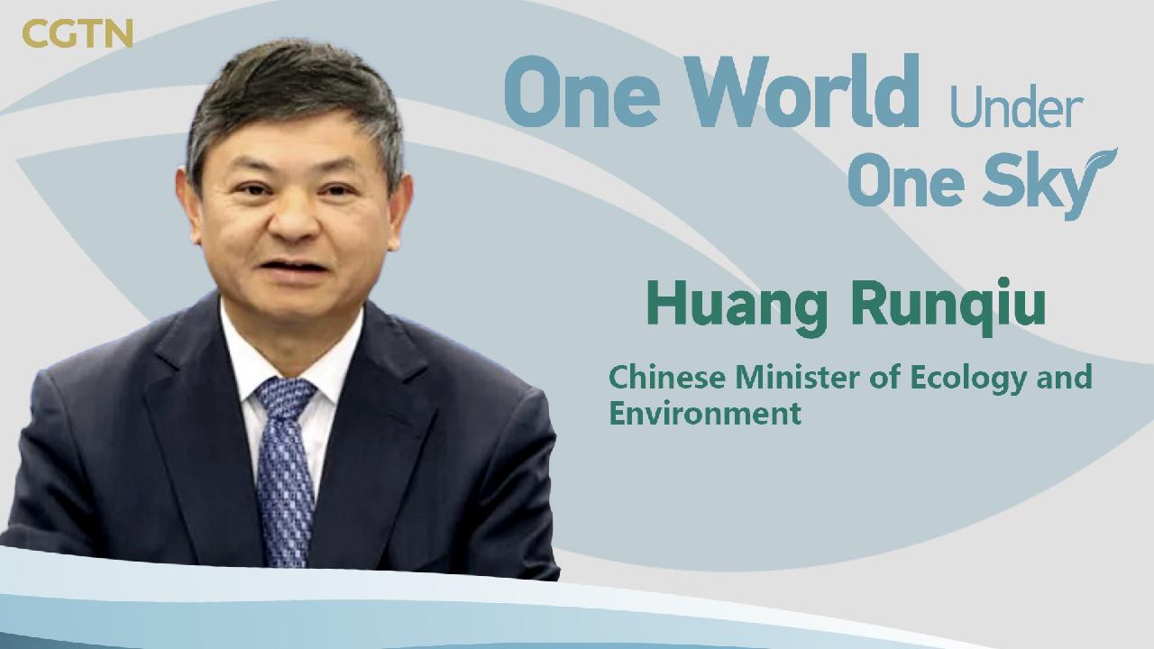China's minister of ecology and environment discusses nation's green development efforts - CGTN