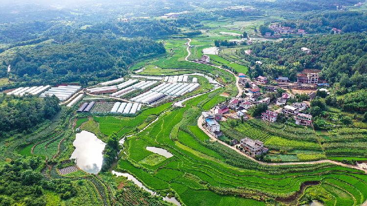 China aims for comprehensive rural vitalization in 2024 - CGTN