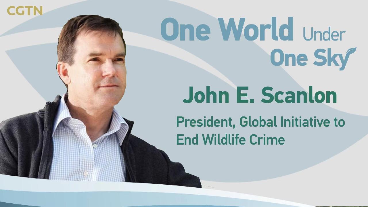 What animal would you talk to if they could speak? - CGTN