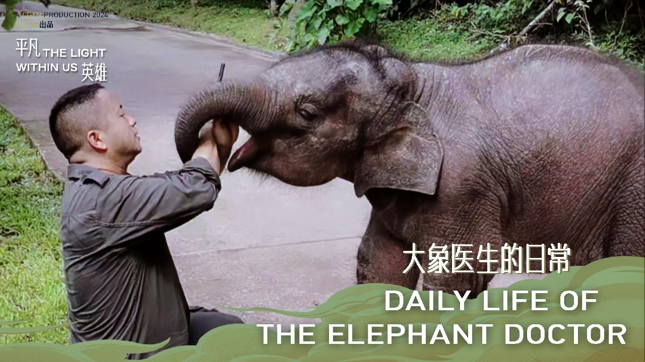 Daily life of the elephant doctor - CGTN