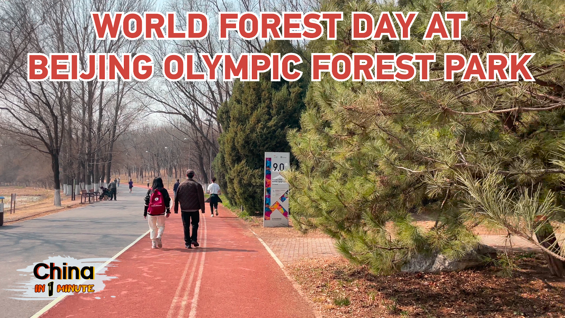 Explore Beijing Olympic Forest Park for World Forest Day - CGTN