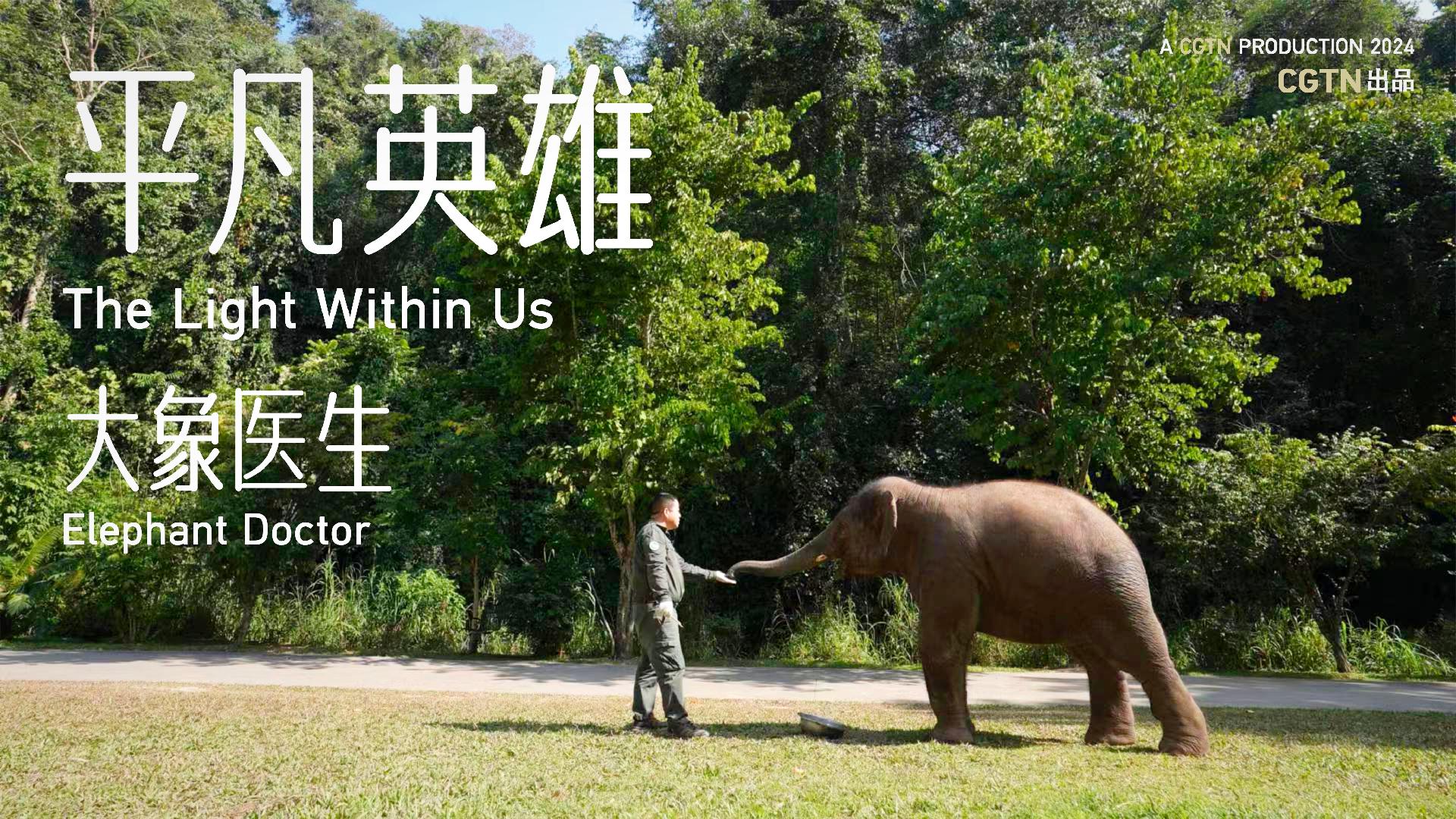 The Light Within Us: An elephant doctor - CGTN