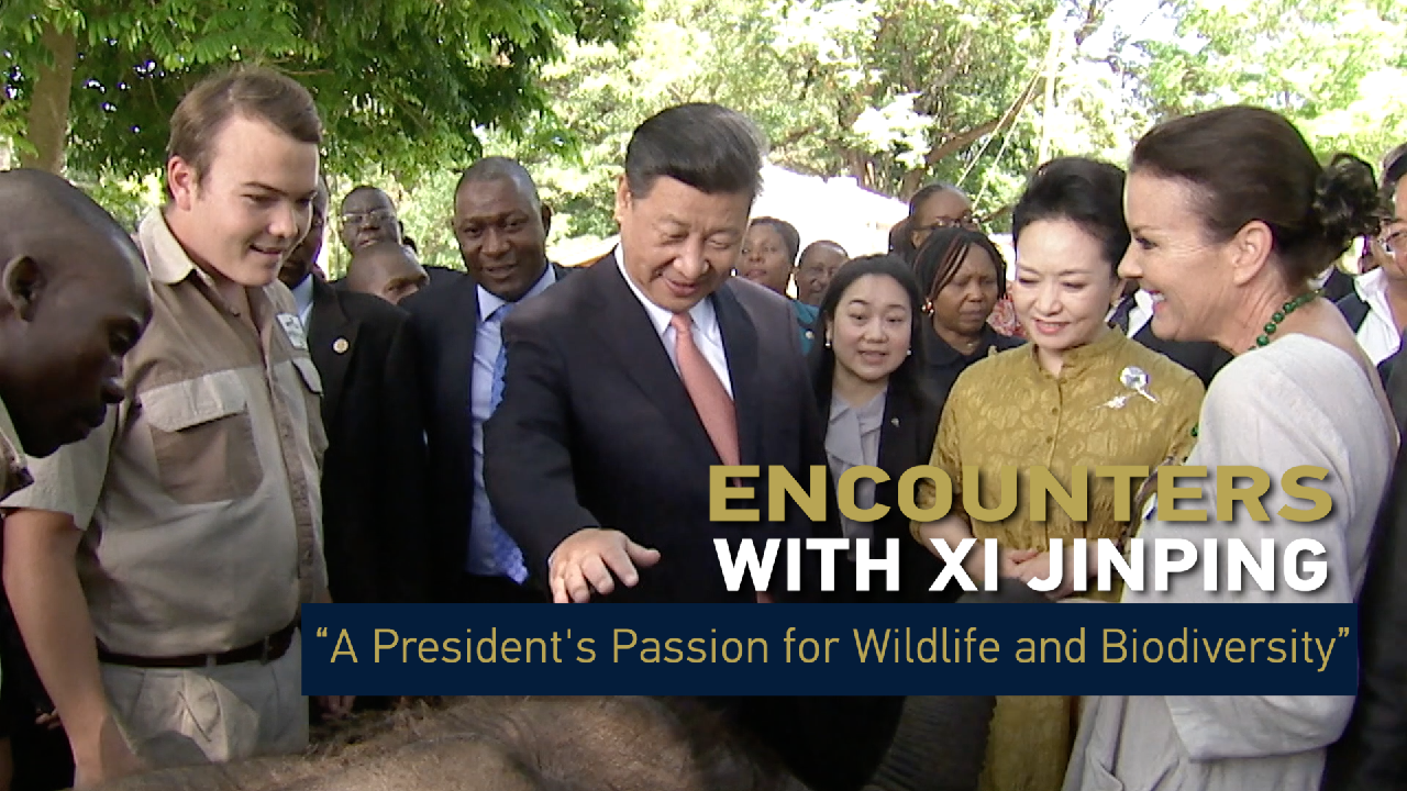 A President's Passion for Wildlife and Biodiversity – CGTN – Green Reporter