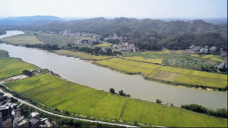 China's rural development inspires global agricultural solutions - CGTN