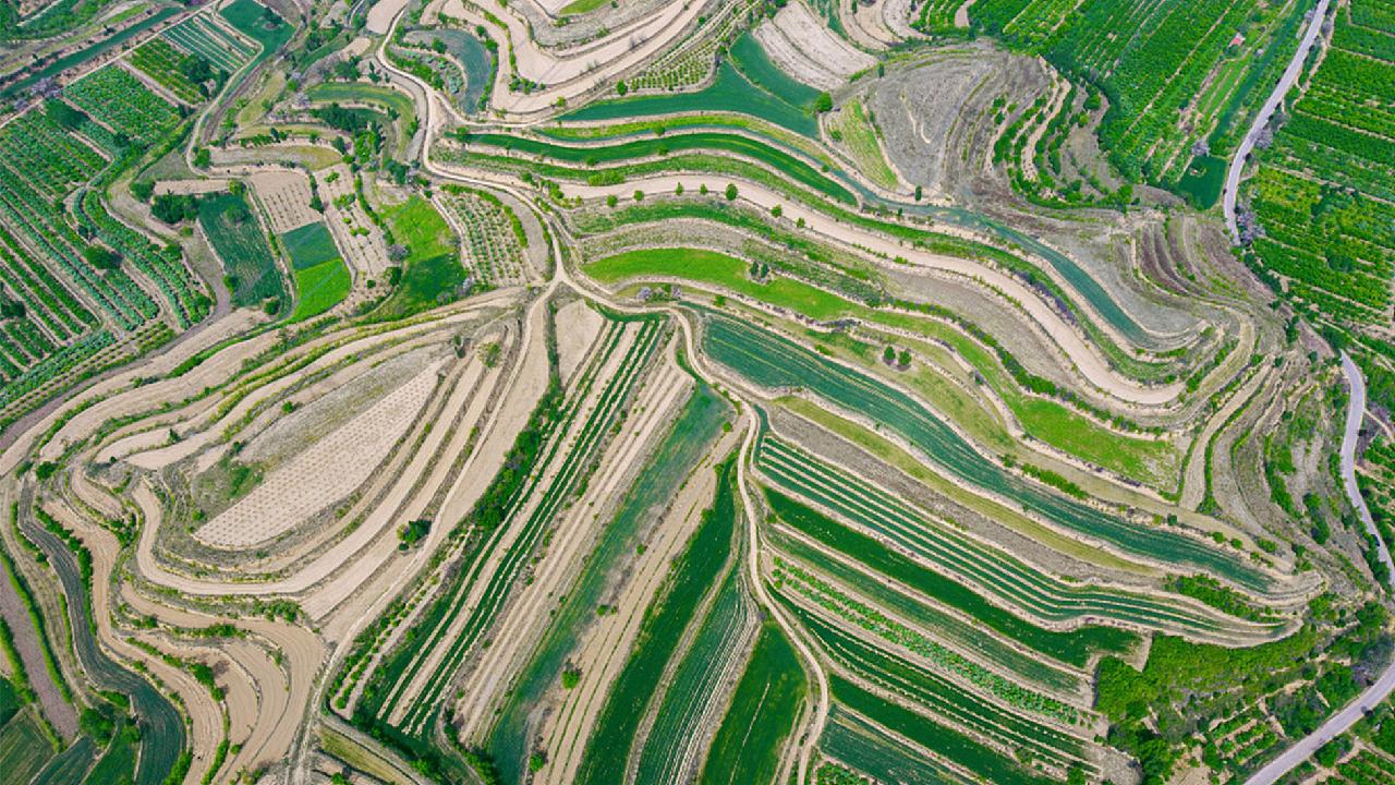 Spring farming underway across China - CGTN