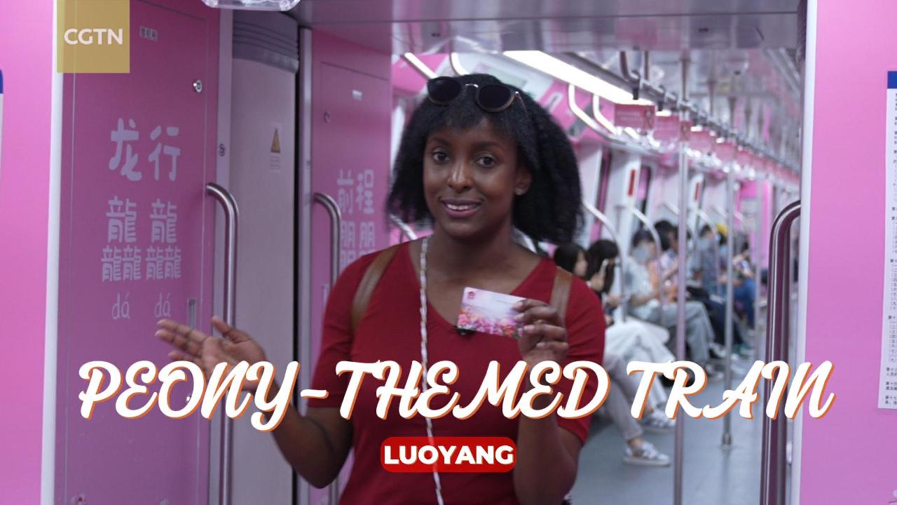 An immersive peony tour in Luoyang - CGTN