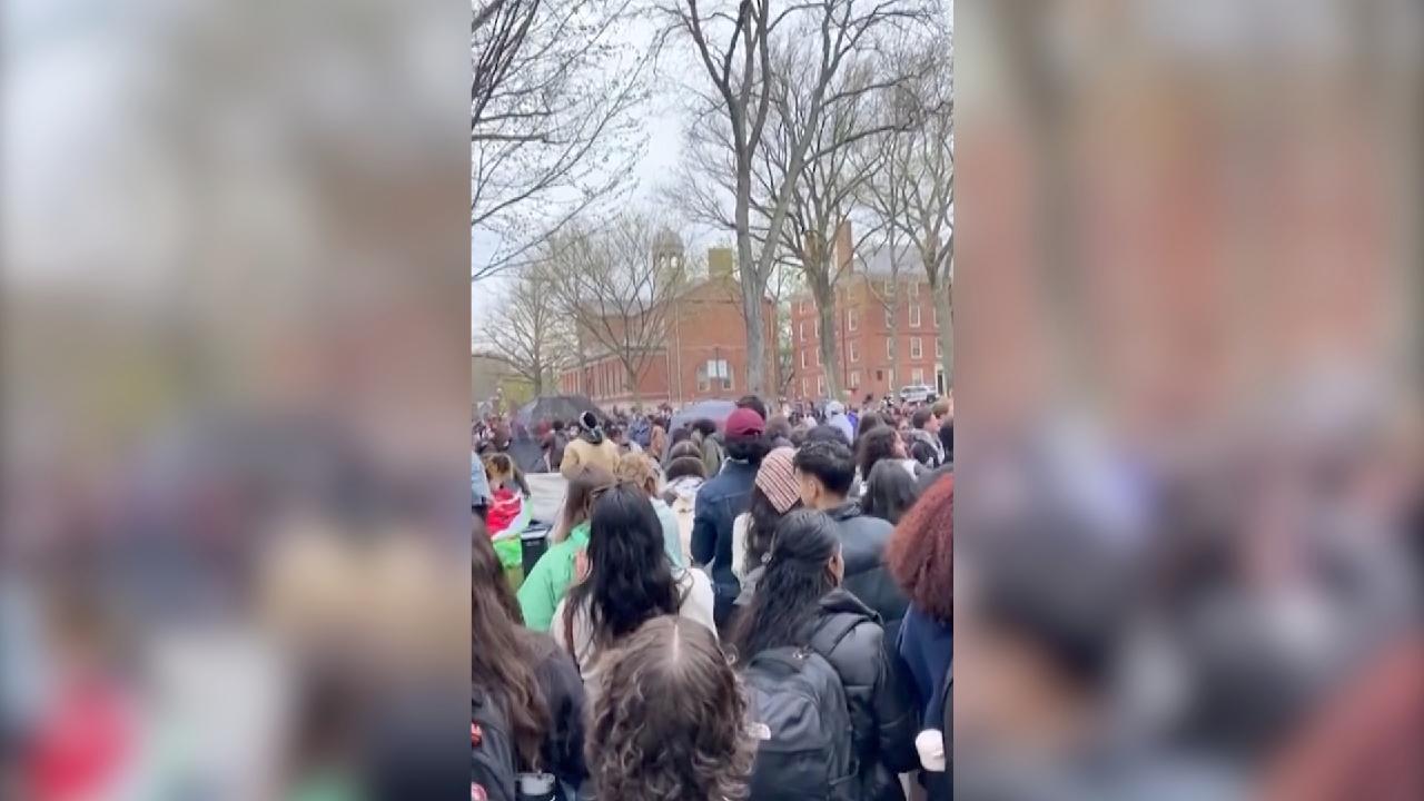 Harvard students protest over Israel's war with Hamas - CGTN