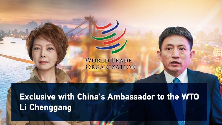 Exclusive with China's Ambassador to the WTO Li Chenggang - CGTN
