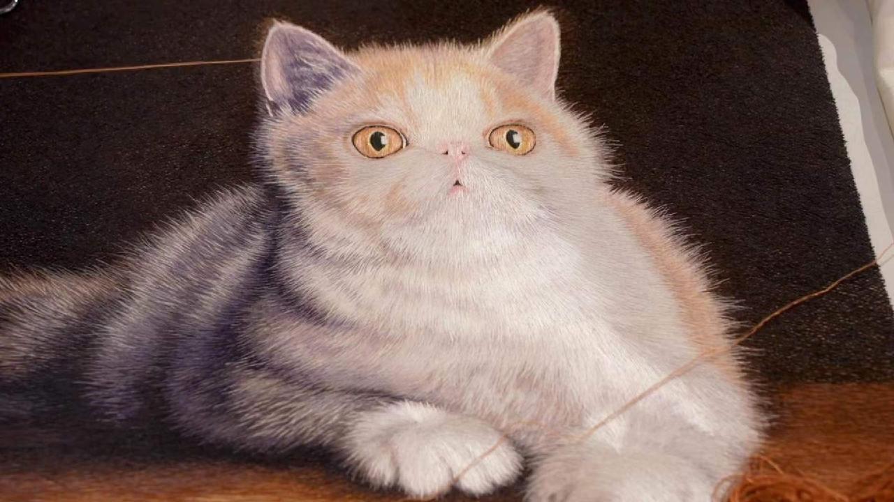 Suzhou embroidery: Tradition meets modernity through innovation - CGTN