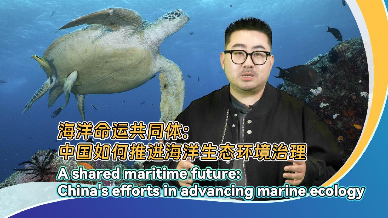 A shared maritime future: China's efforts in advancing marine ecology ...