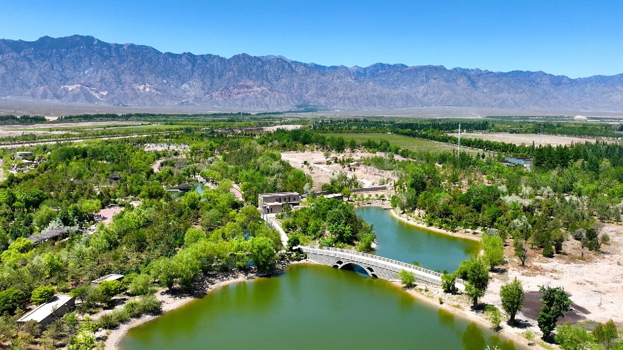China's Ningxia achieves major progress in ecological protection - CGTN