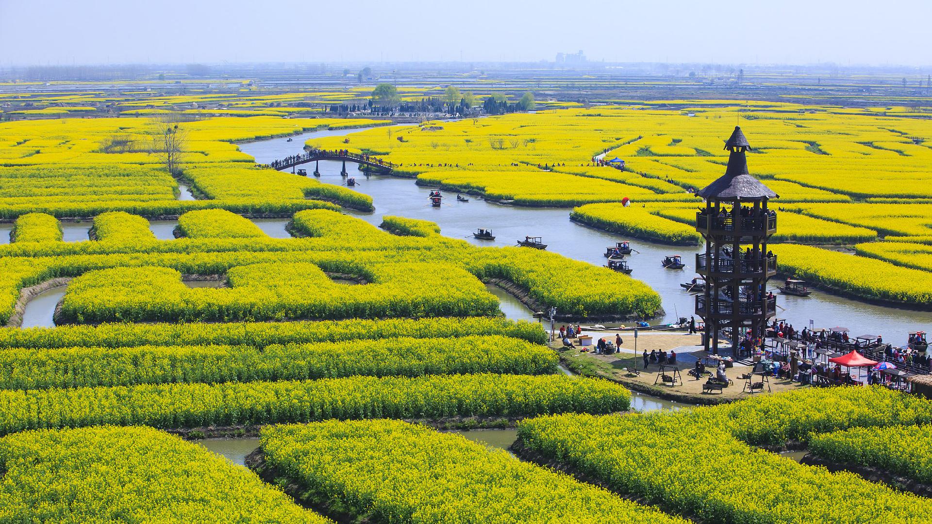 Xinghua irrigation project contributes to environment, economy - CGTN