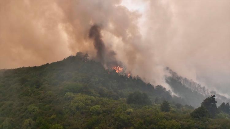 Lightning causes mountain fire in north China's Shanxi Province - CGTN