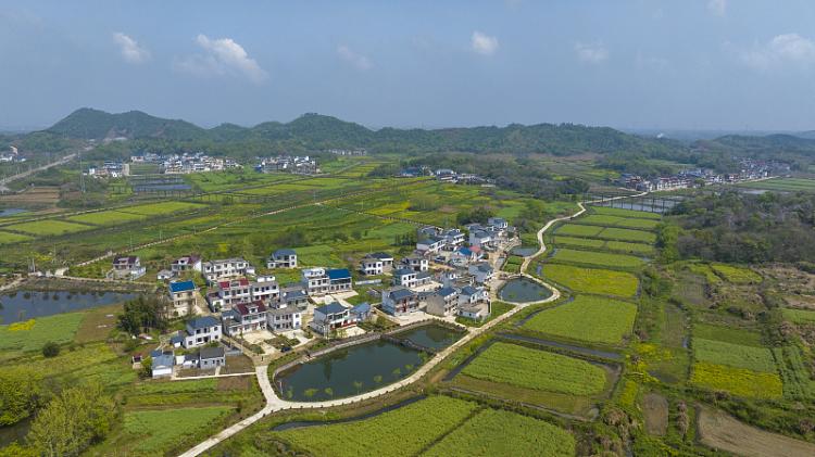 A look at China's major rural, agricultural reforms in the past decade - CGTN