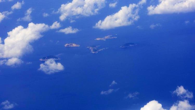 Report: Coral reefs, marine species flourish in the South China Sea - CGTN