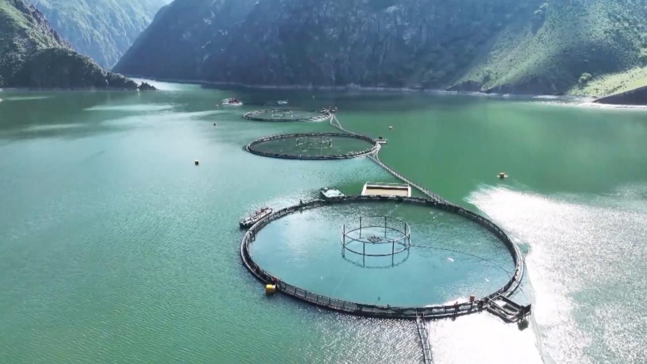 Landlocked Xinjiang leverages unique advantages to farm fish in desert ...