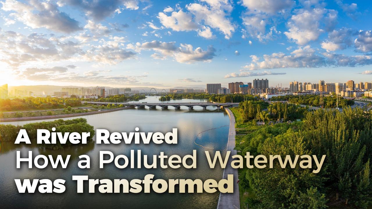 A river revived: How a polluted waterway was transformed - CGTN