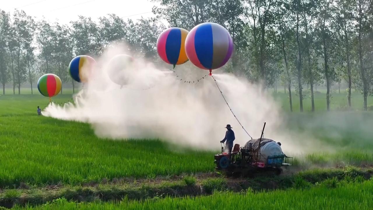 Hydrogen balloons deployed to spray agrichemicals on rice fields - CGTN