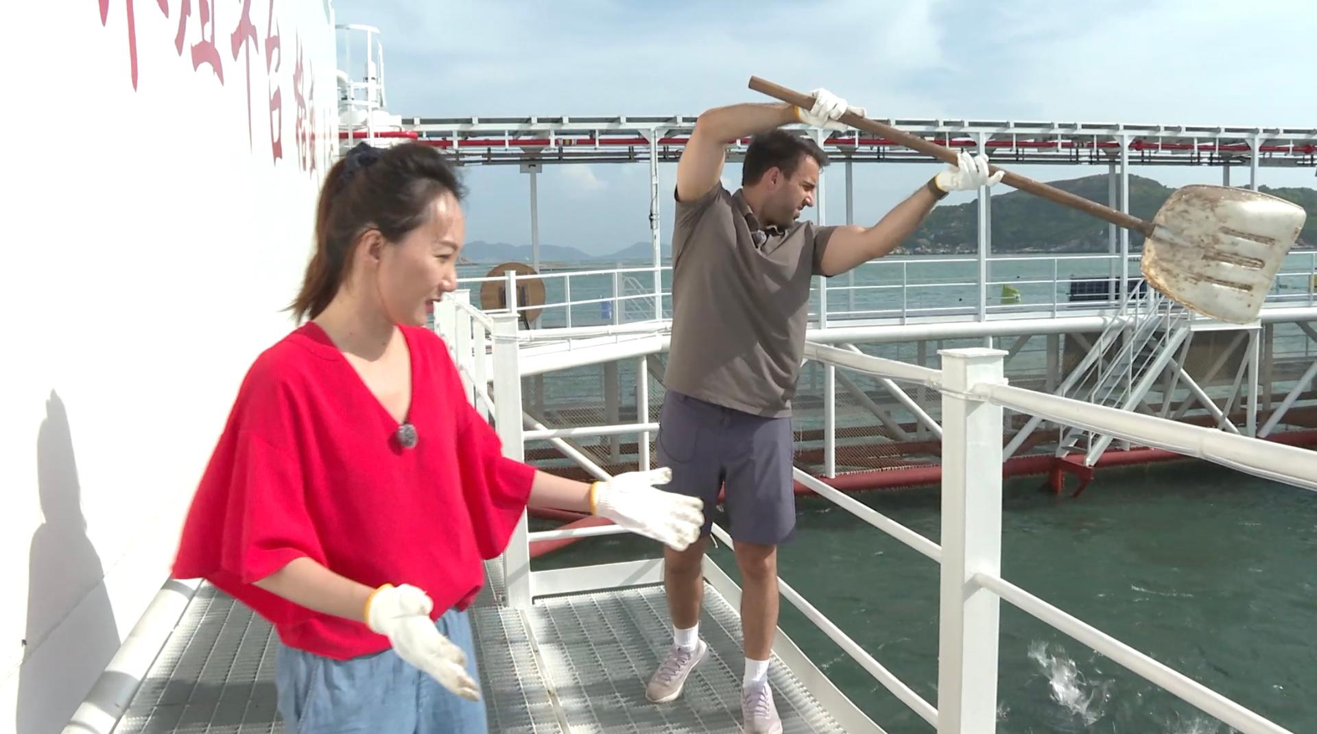 Offshore adventures: Exploring the future of ocean farming - CGTN