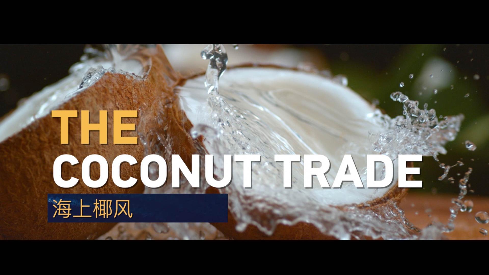 The Coconut Trade - CGTN