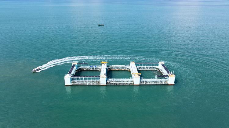 CGTN explores marine farming in Guangdong, southern China - CGTN