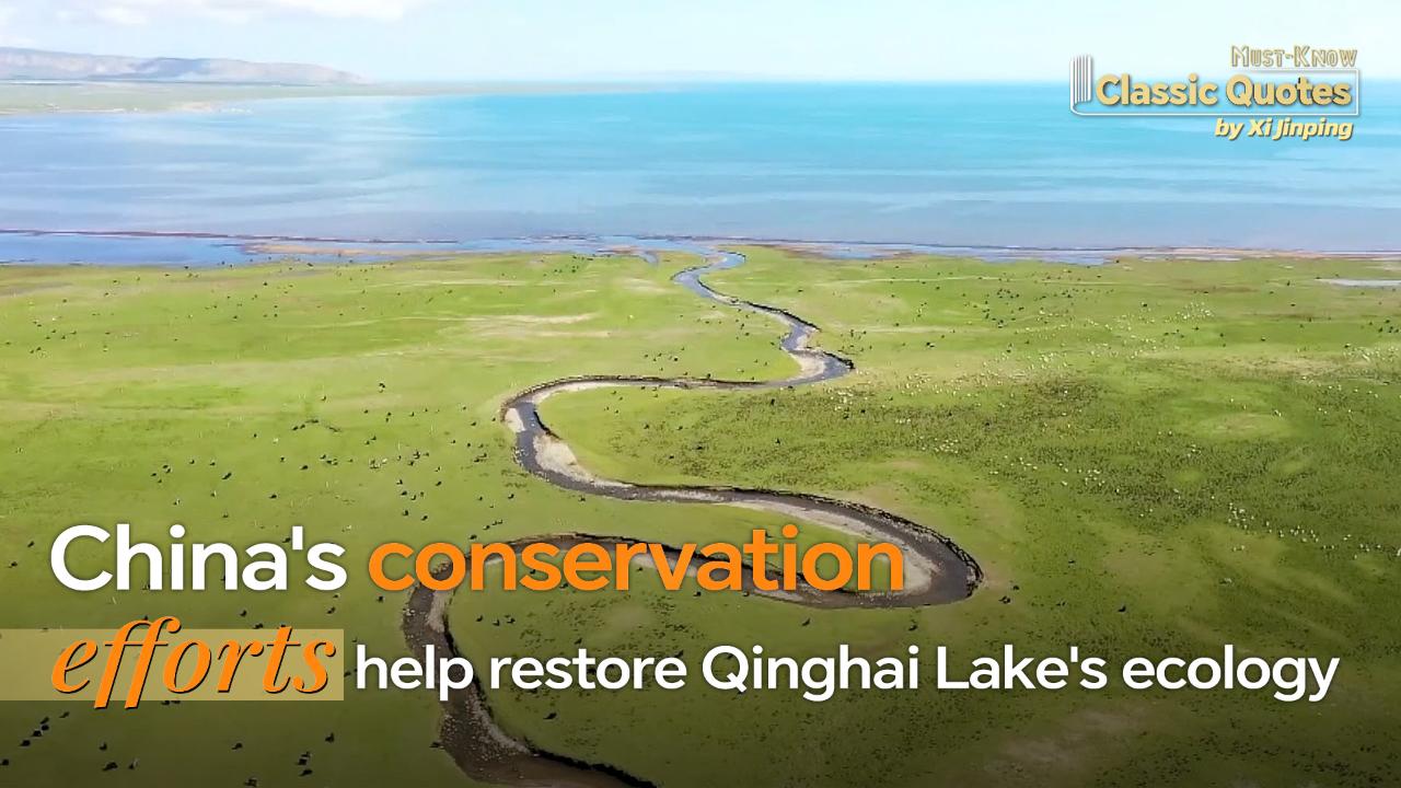 Why has China's nature reserve network proved invaluable? - CGTN