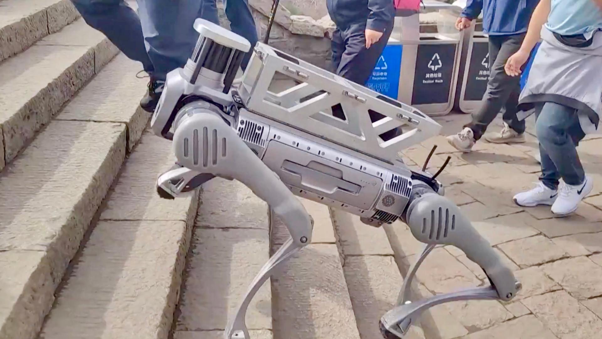 Robot dogs tackle Taishan's tough trails while transporting trash - CGTN