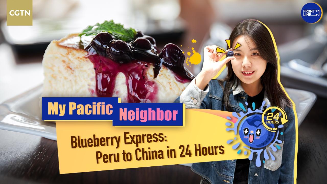 Blueberry Express: Peru to China in 24 Hours - CGTN