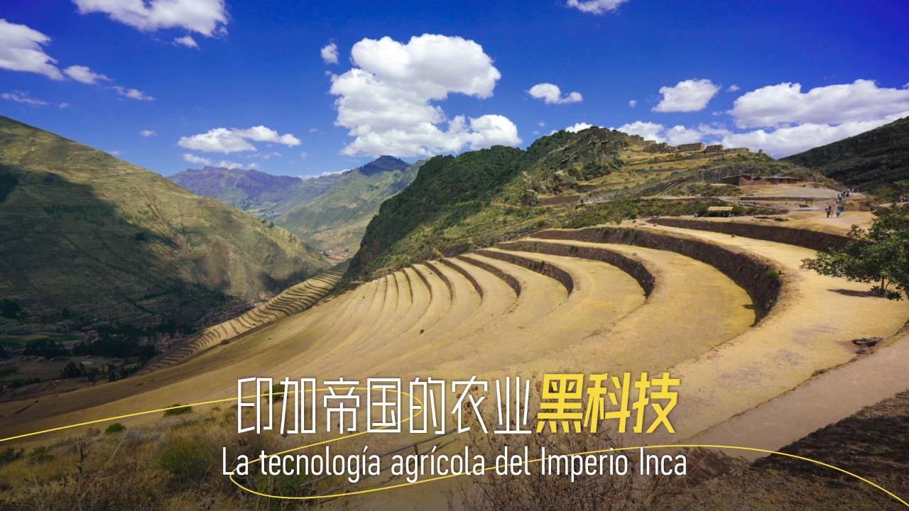 The Inca Empire's agricultural science and technology - CGTN