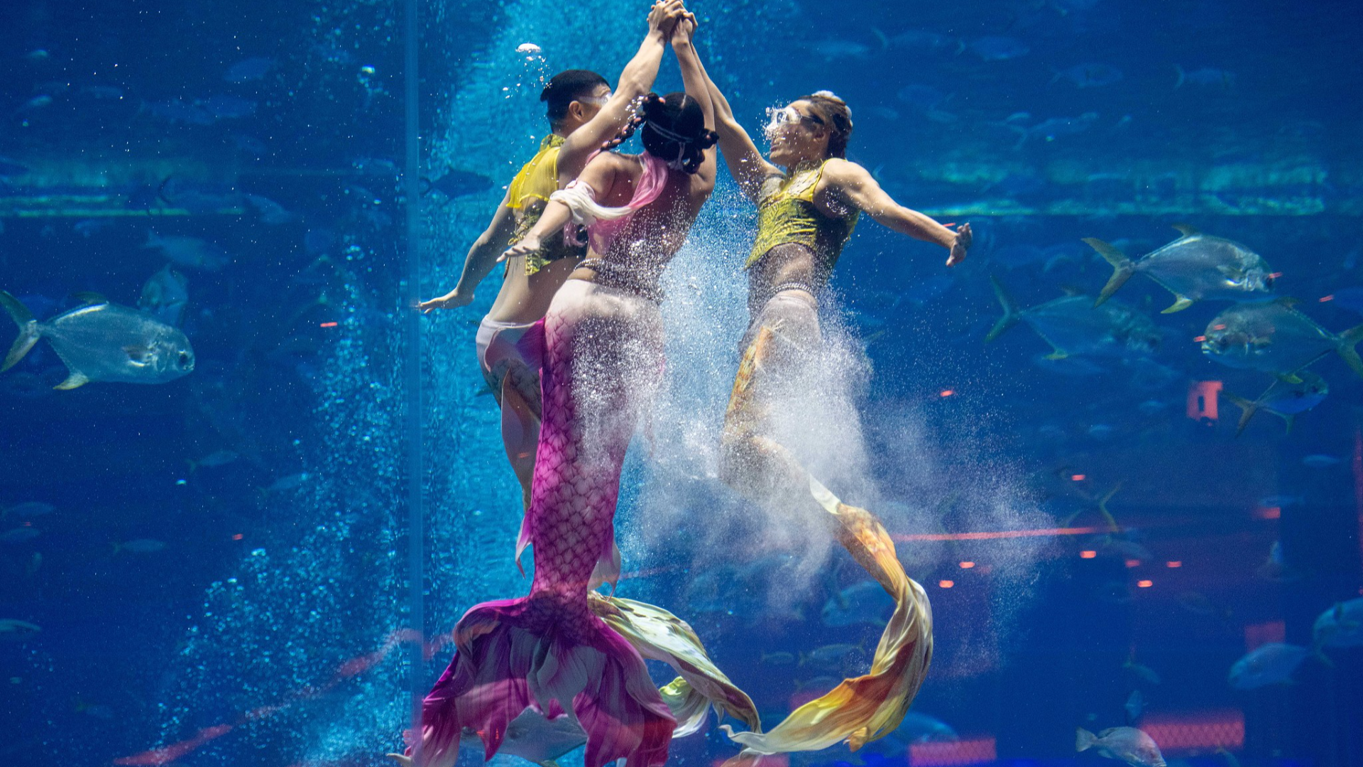 Sanya hosts magical mermaid dance-off as enchantment comes to life - CGTN