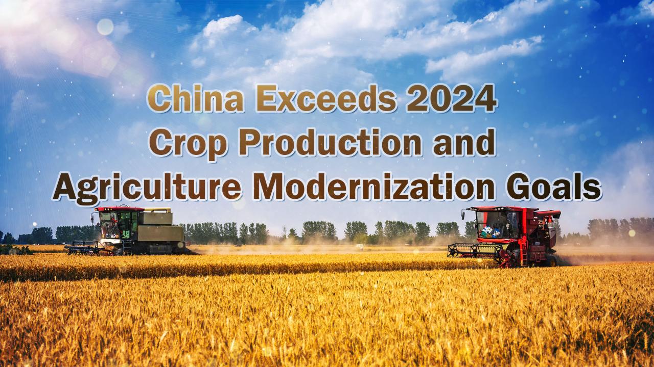 China exceeds 2024 crop production and agriculture modernization goals ...