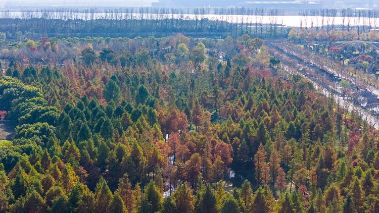 China marks 35th anniversary of Environmental Protection Law - CGTN