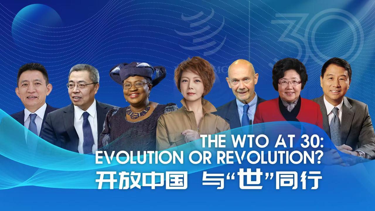 The WTO at 30: Evolution or revolution? - CGTN