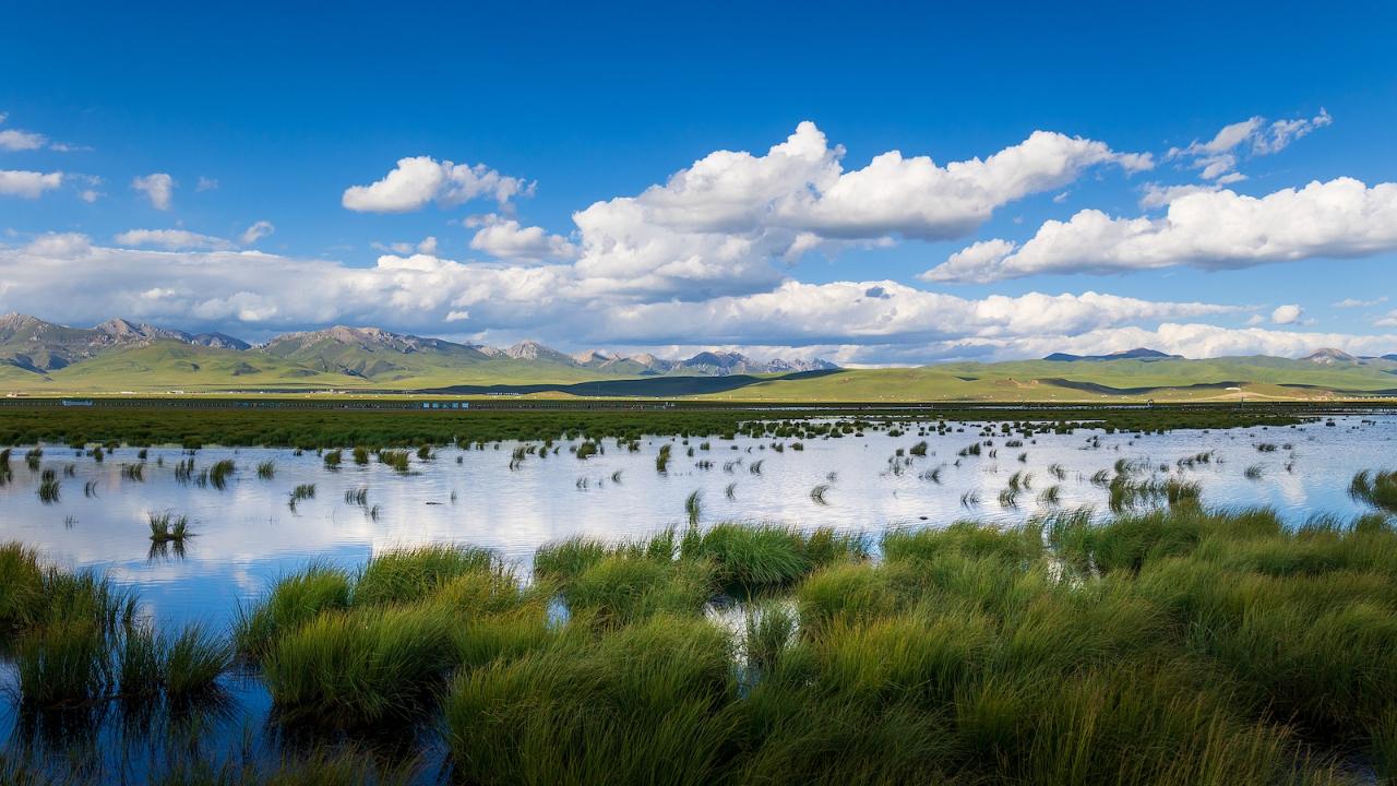 Our wetlands: Where the arduous Long March was witnessed - CGTN