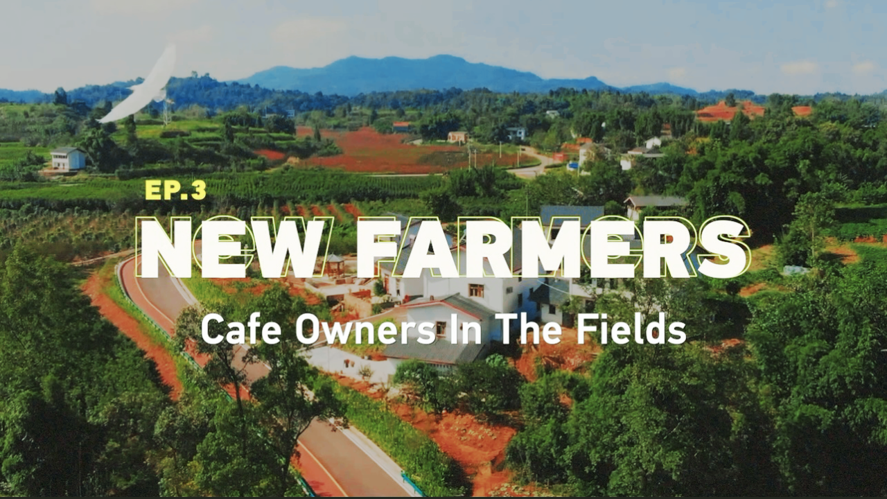New Farmers: A countryside cafe connecting urban and rural life - CGTN