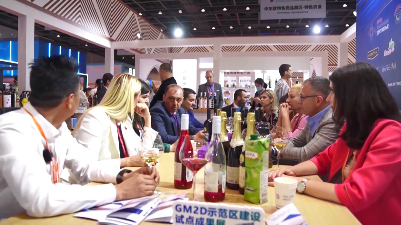 Former Croatian deputy PM: China-CEEC Expo boosts trade growth - CGTN