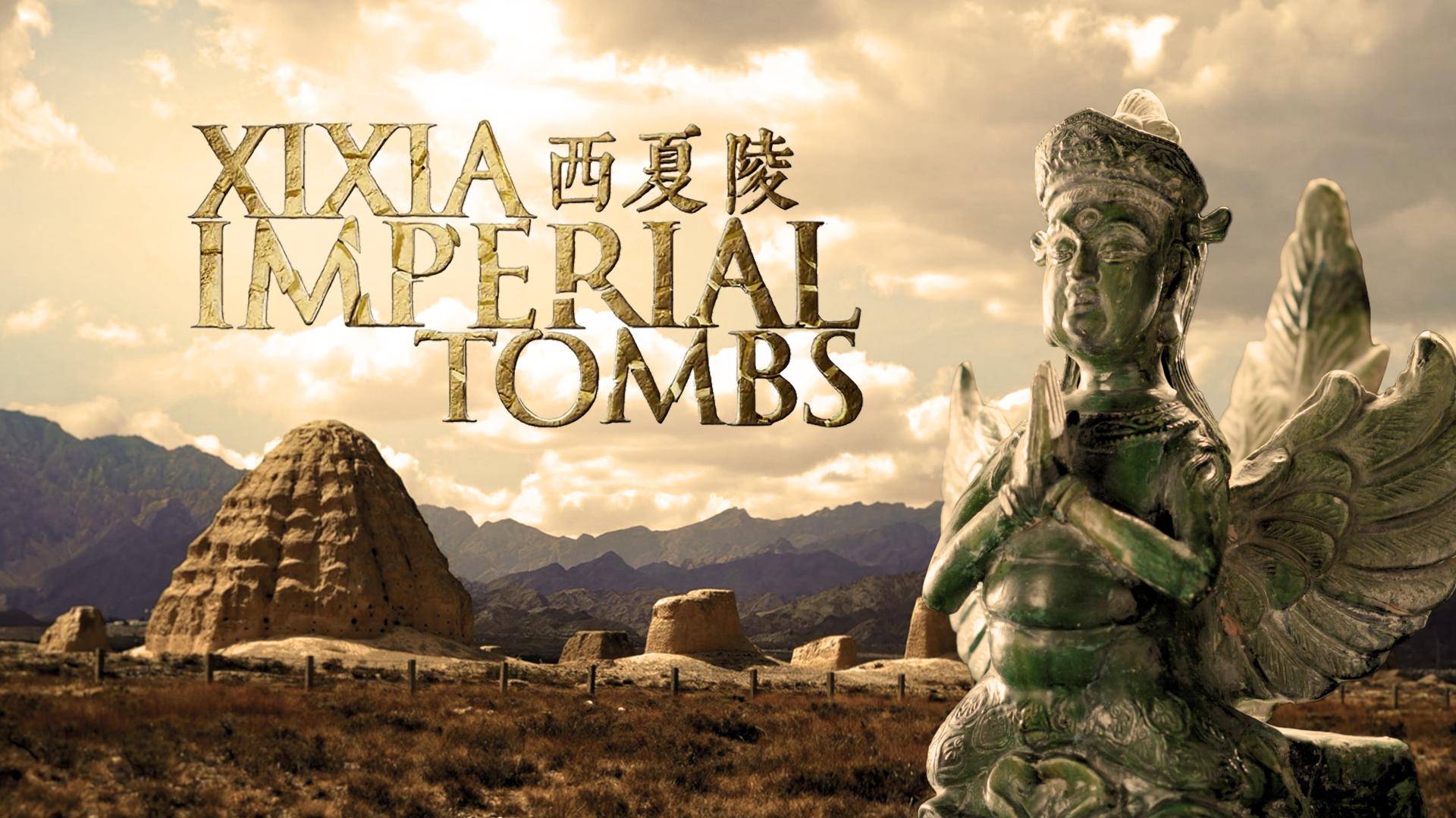 The Xixia Imperial Tombs: A Beacon of Cultural Heritage Preservation - CGTN