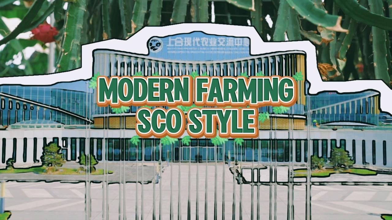 How the Yangling SCO base shapes global agriculture - CGTN